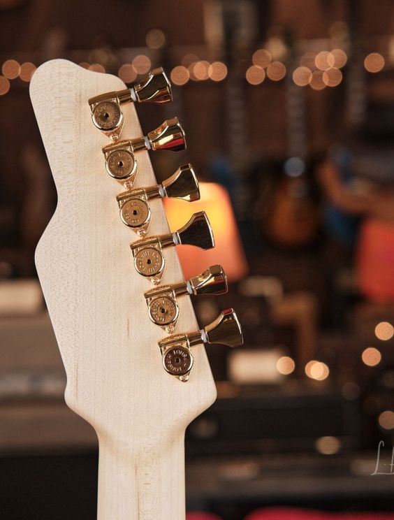 James Tyler “Studio Elite” – With Series/Split/Parallel, Lead/Rhythmn ...